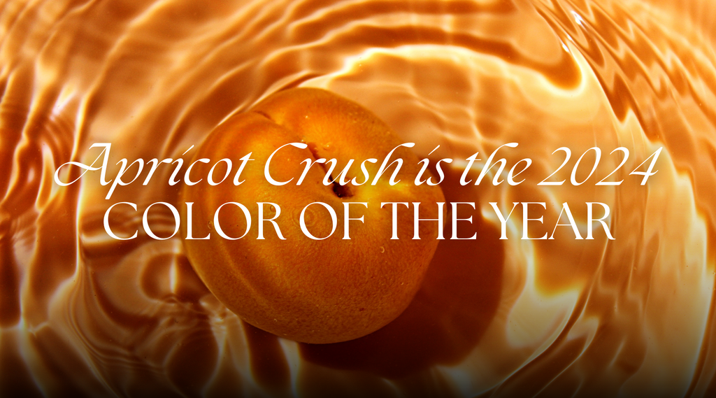 Apricot Crush is the 2024 COLOR OF THE YEAR