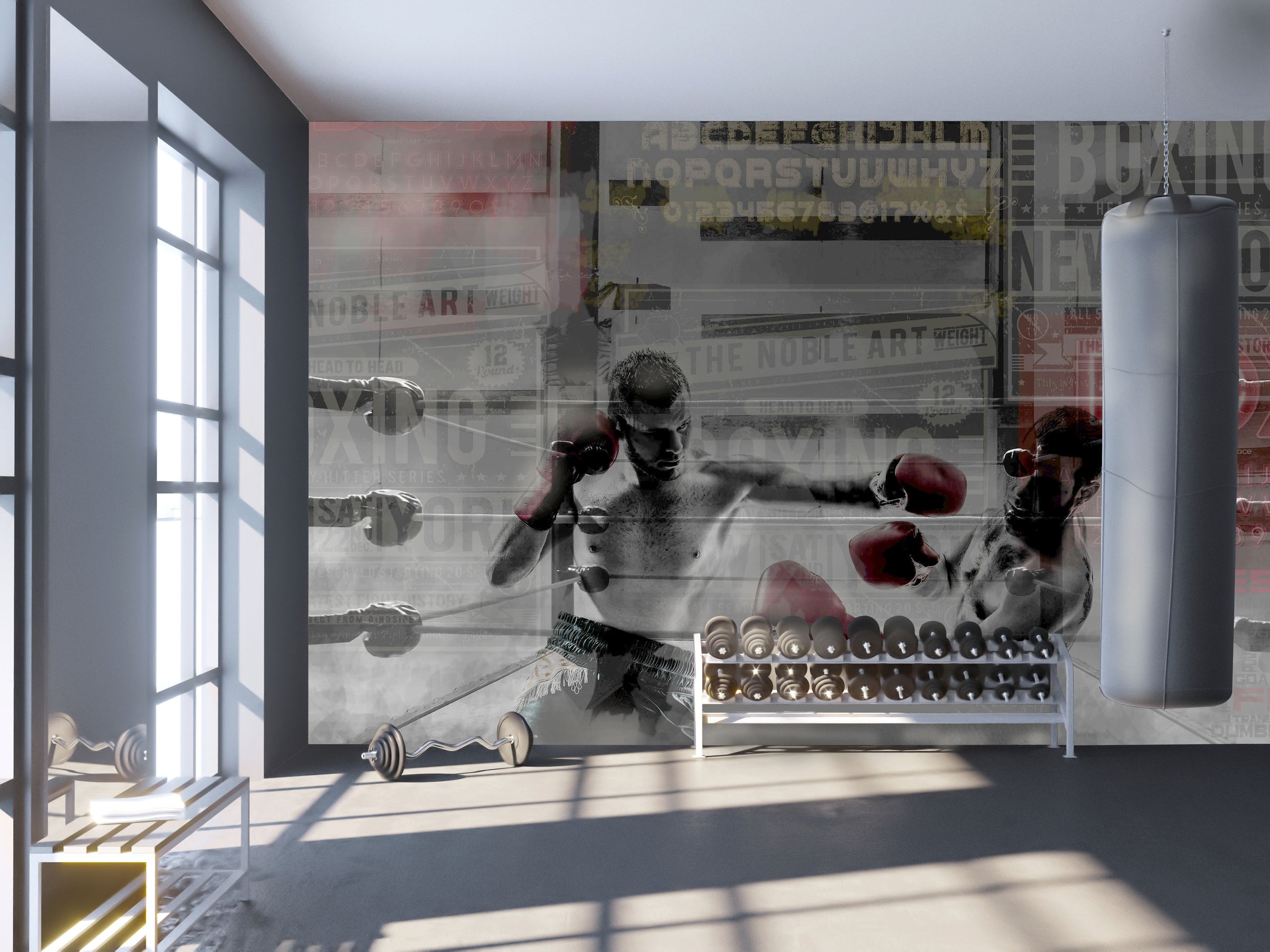 Gray Boxing Poster Mural Wallpaper M1451 – Walls Republic US