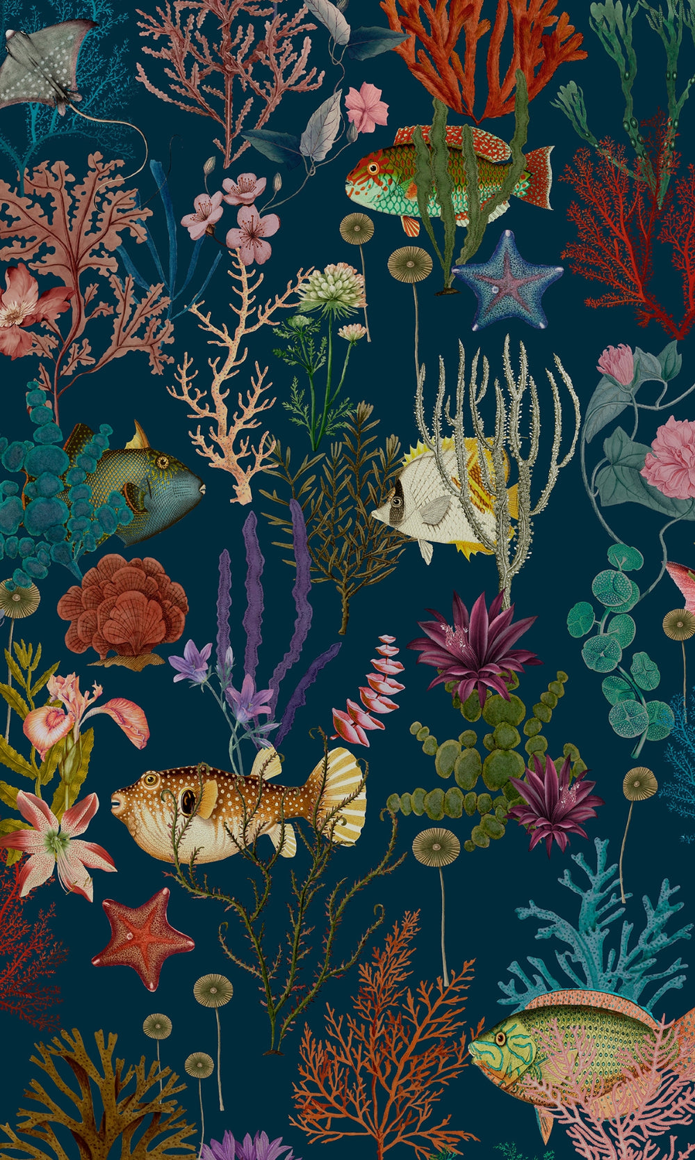 Navy Ocean with Fishes and Corals Wallpaper RM9015 – Walls Republic US