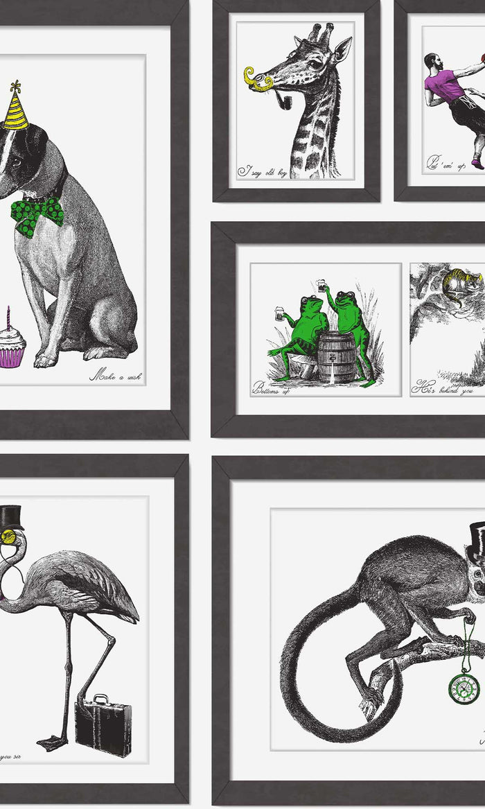 Multi Color Illustrated Animals in a Frame Wallpaper R7666 – Walls ...