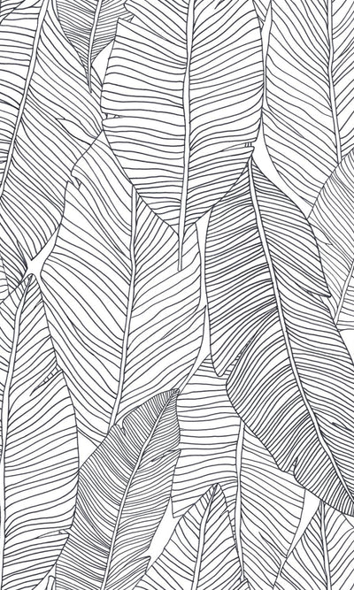 Black and White Pen Drawn Leaves Wallpaper R9418 – Walls Republic US