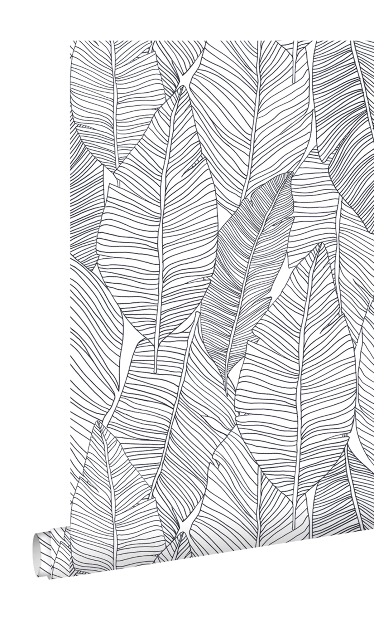 Black and White Pen Drawn Leaves Wallpaper R9418 – Walls Republic US