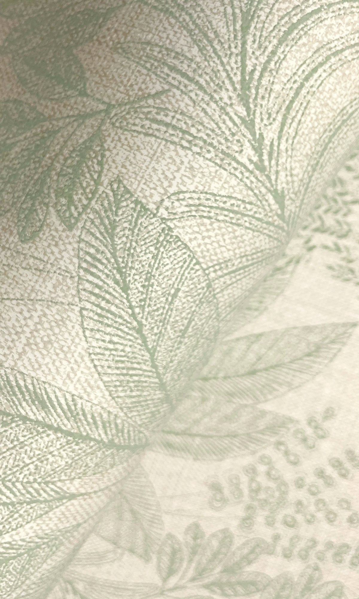 Sage Botanical Oasis Print Wallpaper R9561 – Walls Republic US