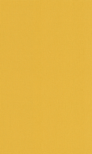 Plain Golden Color Background