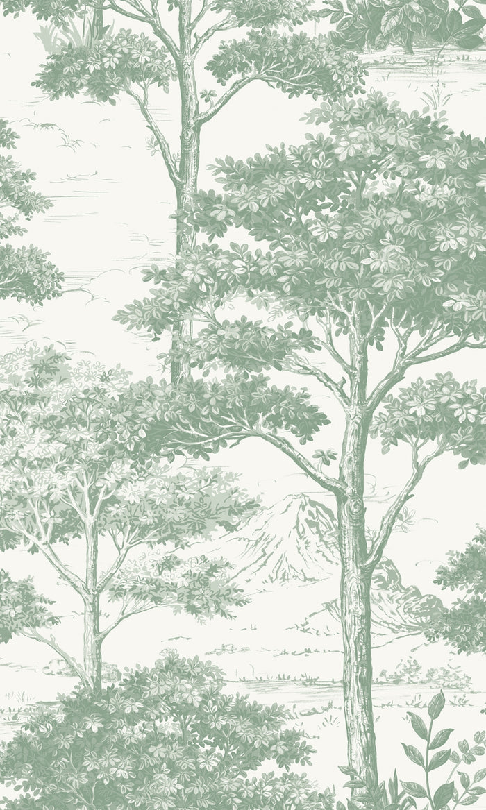 Green Tropical Foliage Trees Wallpaper R7957 – Walls Republic US