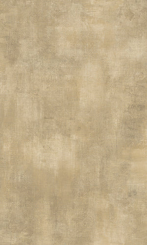 Greige Plain Textured Wallpaper R8203 – Walls Republic US