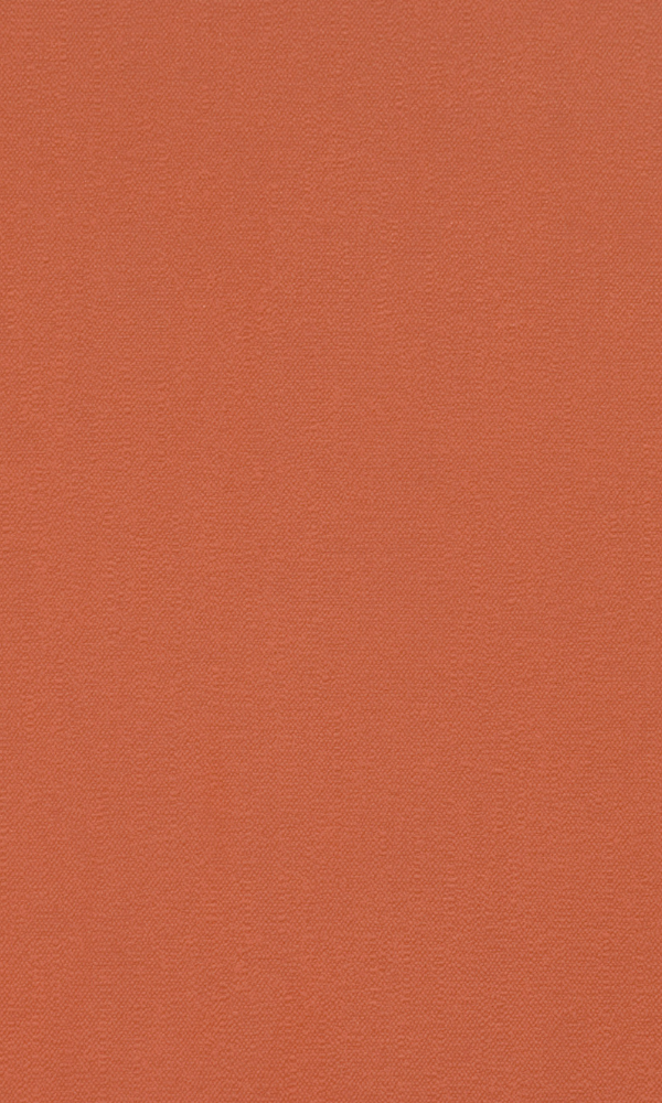 Burnt Orange Textured Background